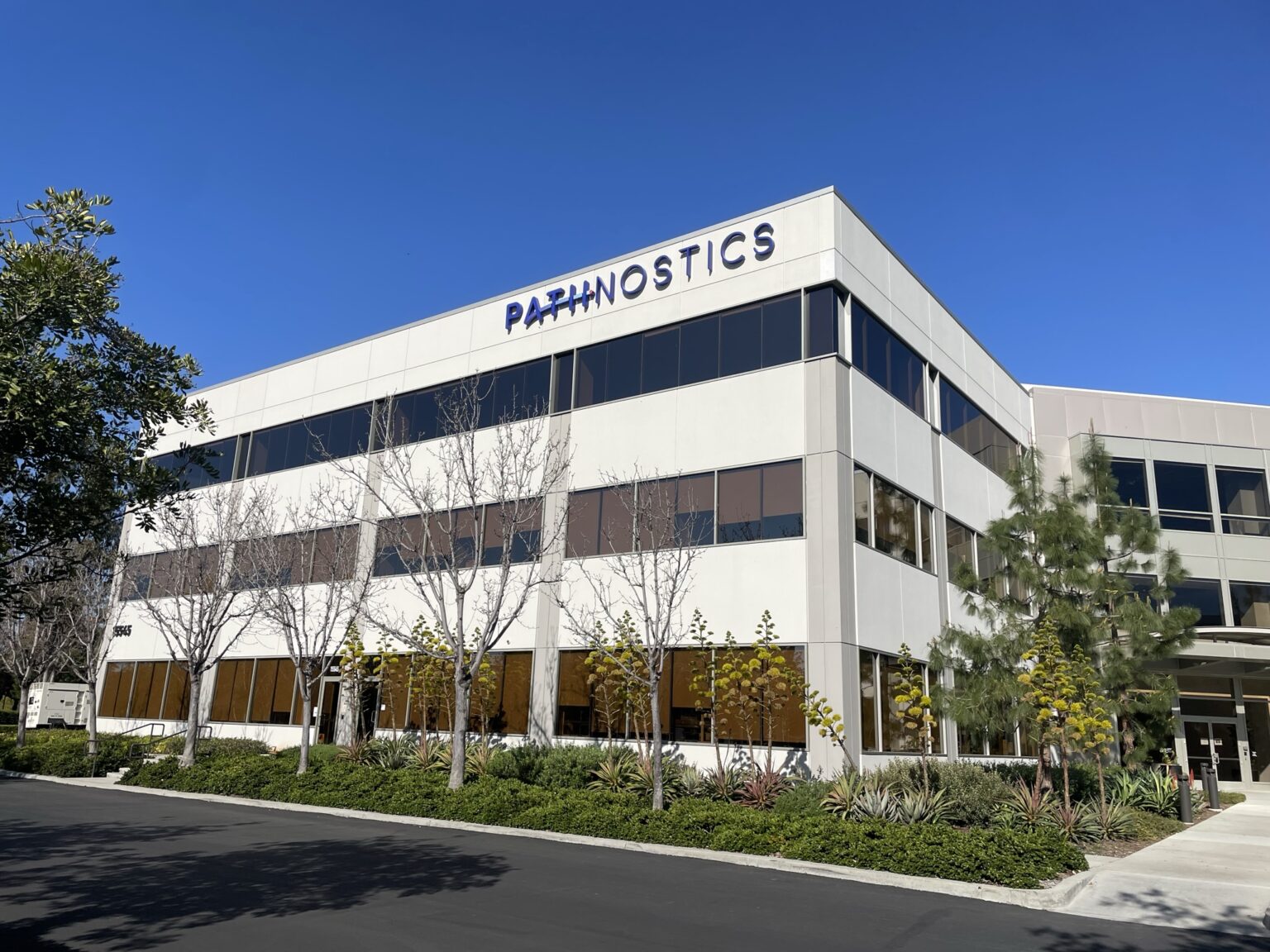 About Us - Pathnostics