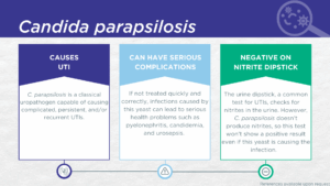 C. parapsilosis - Pathnostics